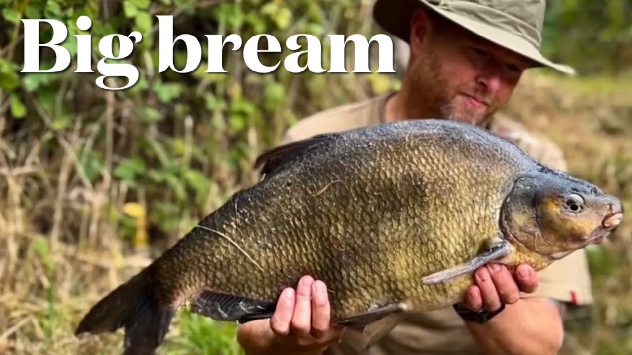 Big Bream fishing. HDAA. - YouTube