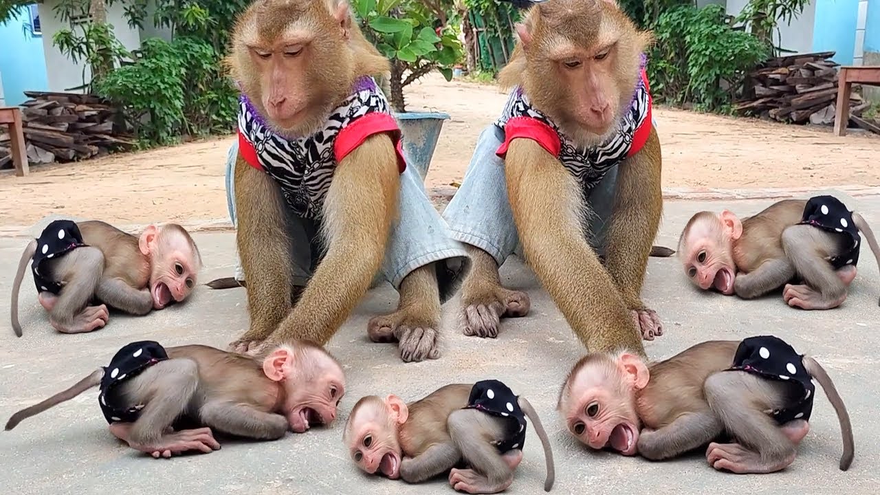 PaPa PARENT Struggles to Comfort Crying Newborn! This Will BREAK Your ...