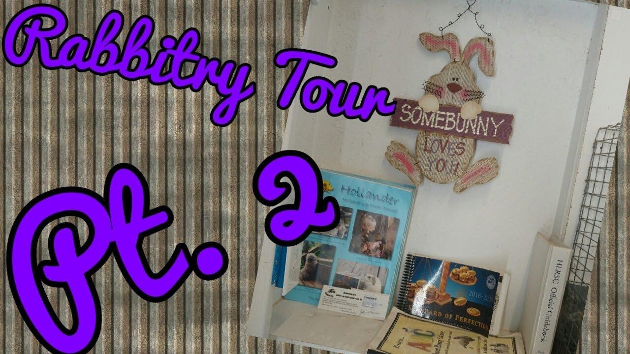 Holland Lop Rabbitry Tour || pt 2 - Organization and Layout - YouTube