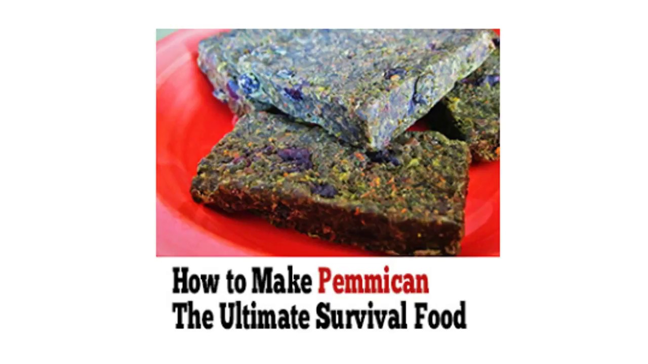 How to Make Pemmican The Ultimate Survival Food | The Lost Ways Review ...