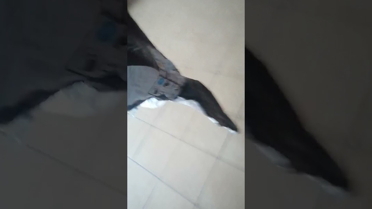 Inflatable Orca intex Whale inflatable shamu looner - YouTube