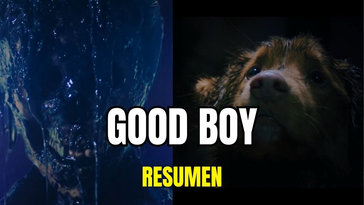 Good Boy | No siempre puedes salvar a todos | Resumen - YouTube