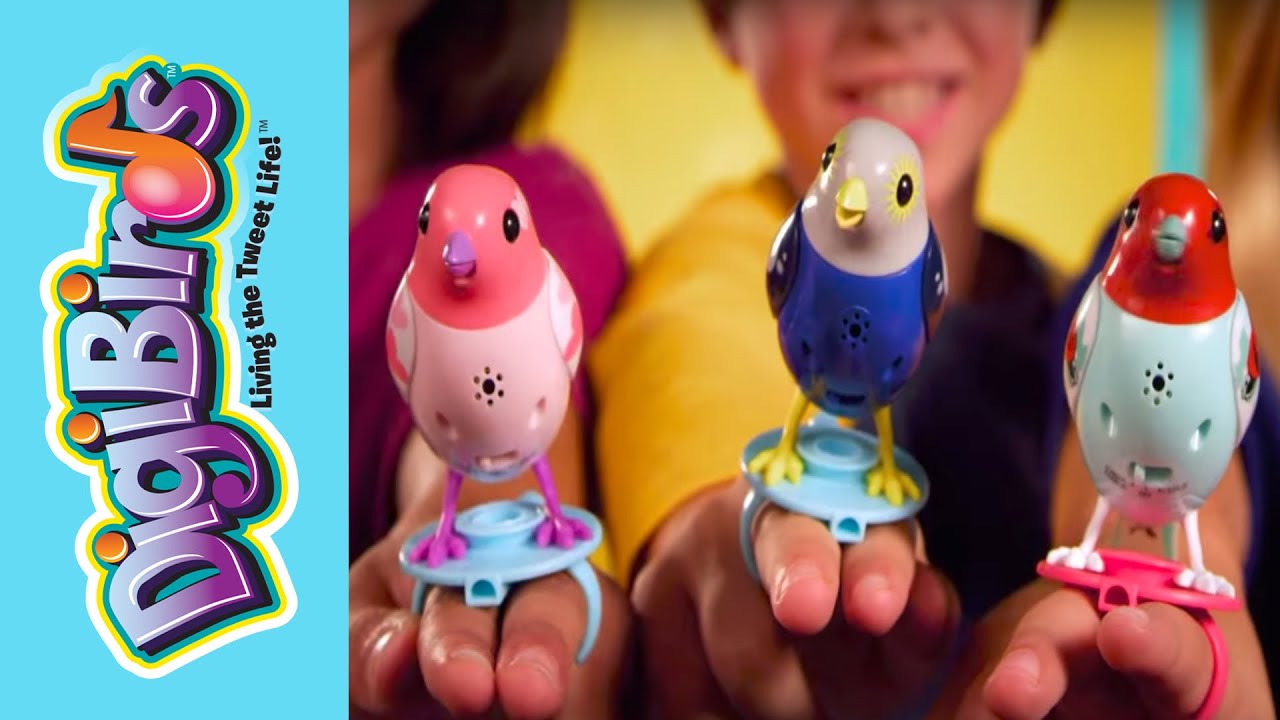 Digibirds - Livin' The Tweet Life - YouTube