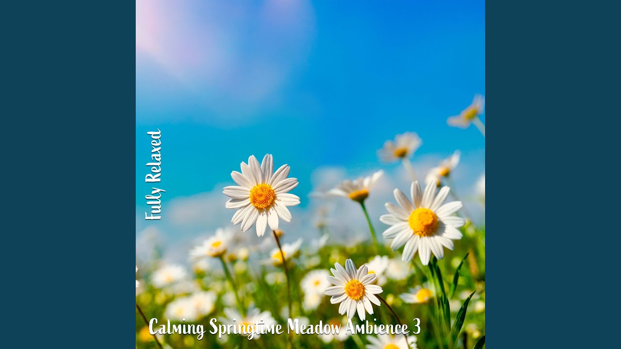 Calming Springtime Meadow Ambience, Pt. 2 - YouTube