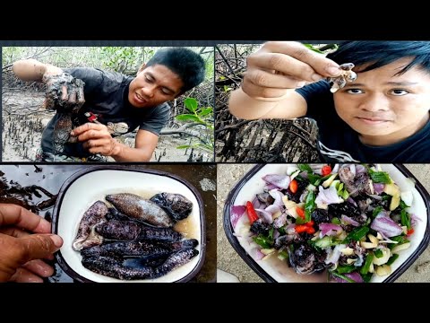 Kinilaw na Bat Pisot/Sea Cucumber sa pananghalia - YouTube