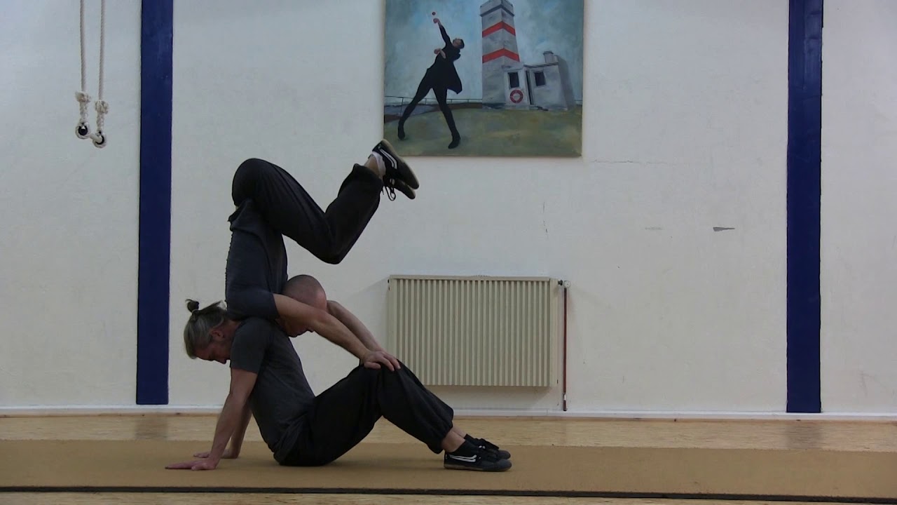 ArtisticNoise: All In One (Acrobatic Animals) - YouTube