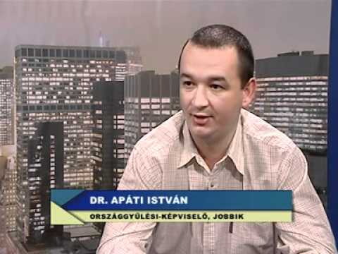 Dr. Apáti István - Köz-Tér,M1TV Mátészalka 2011.01.07.