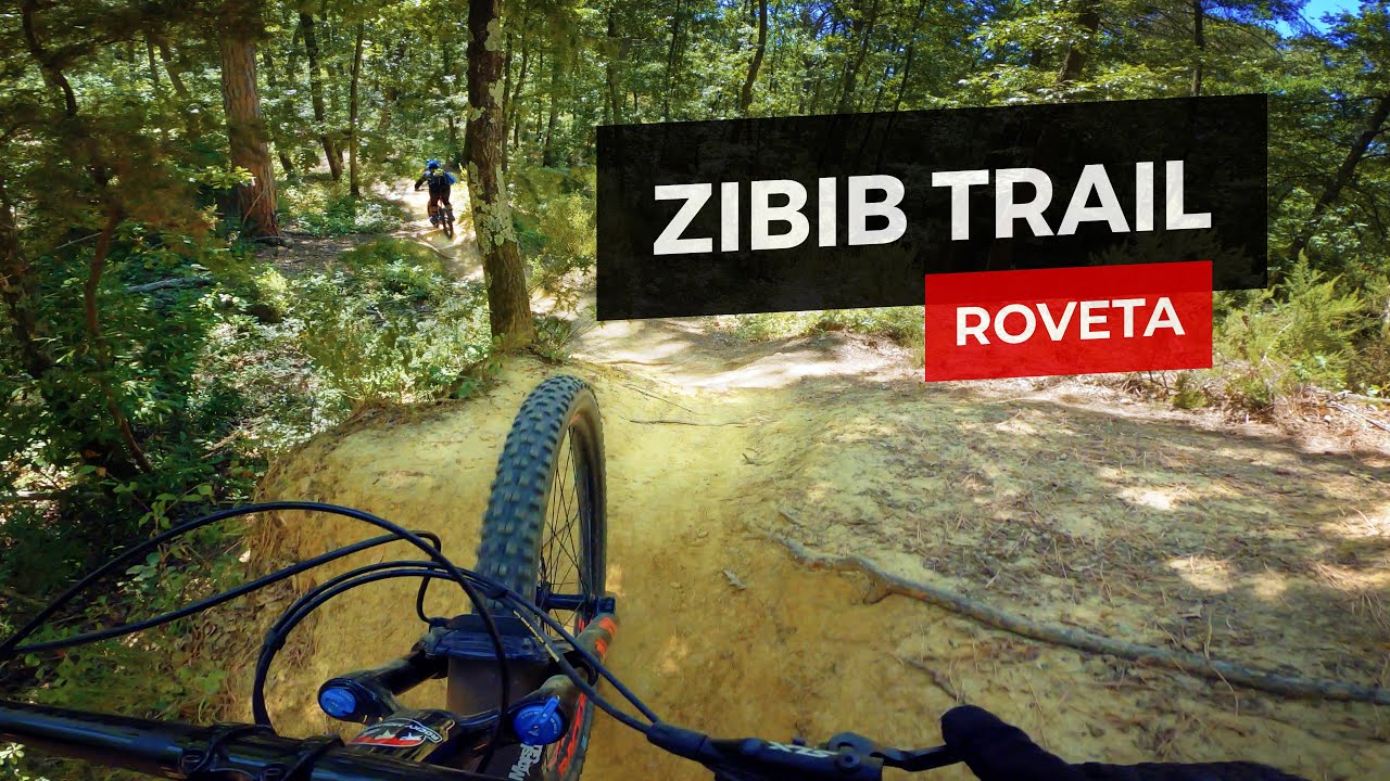 MTB Enduro - Zibib, pump track nella foresta | Roveta | Firenze - YouTube