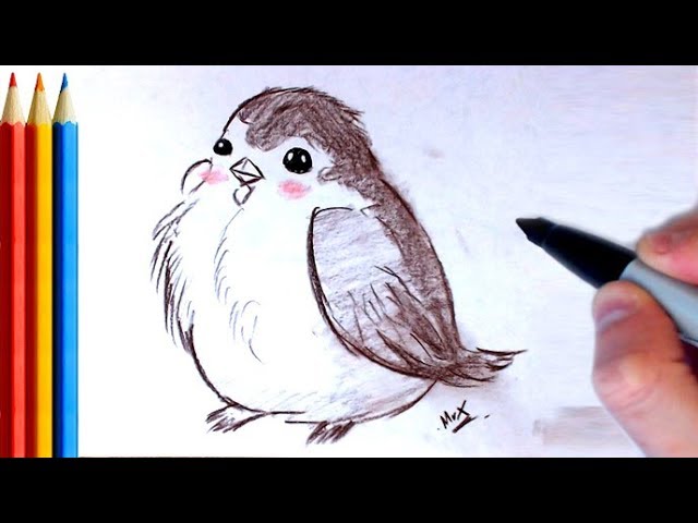 Cute Fat Birds Fat Bird" Images – Browse 232 Stock Photos, Vectors,