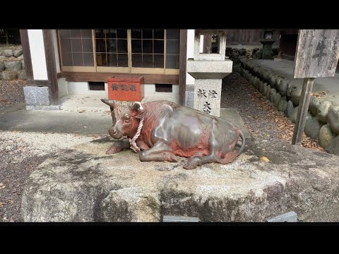 Walking @Neighbourhood Kani City Japan - YouTube