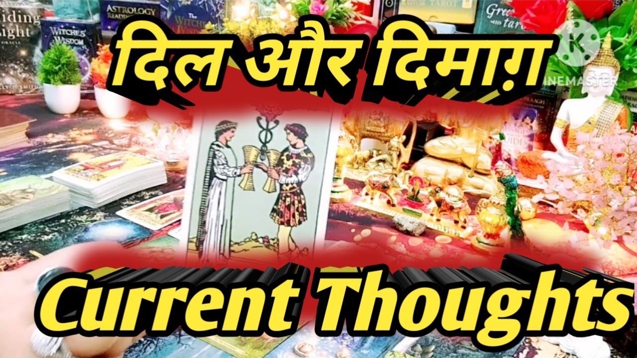 Dil Aur Dimag Me Kya Hai Abhi Iss Waqt 😳🤔 All Signs Collective Timeless ...