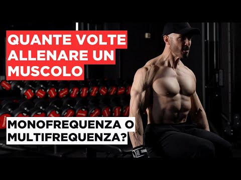 MULTIFREQUENZA - 3 motivi per prediligerla se vuoi aumentare massa muscolare.