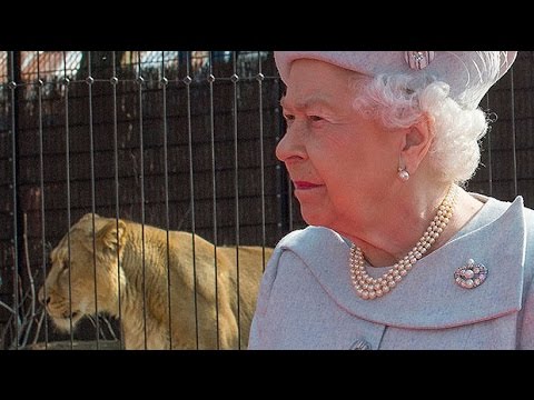 Queen opens London Zoo's Land of the Lions enclosure - YouTube