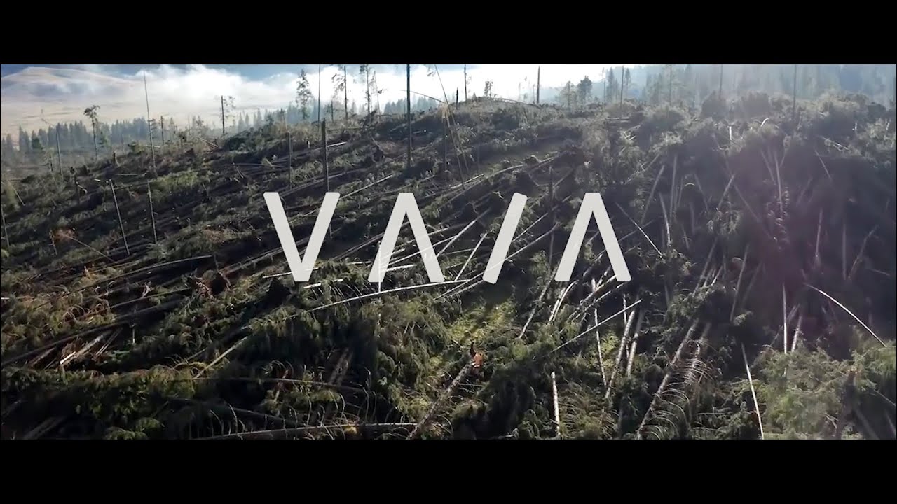 VAIA - Wind / Storm / Falling Trees - YouTube