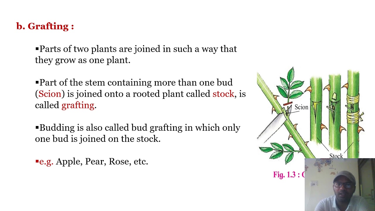 Reproduction in Lower and Higher Plants-Part 1 - YouTube