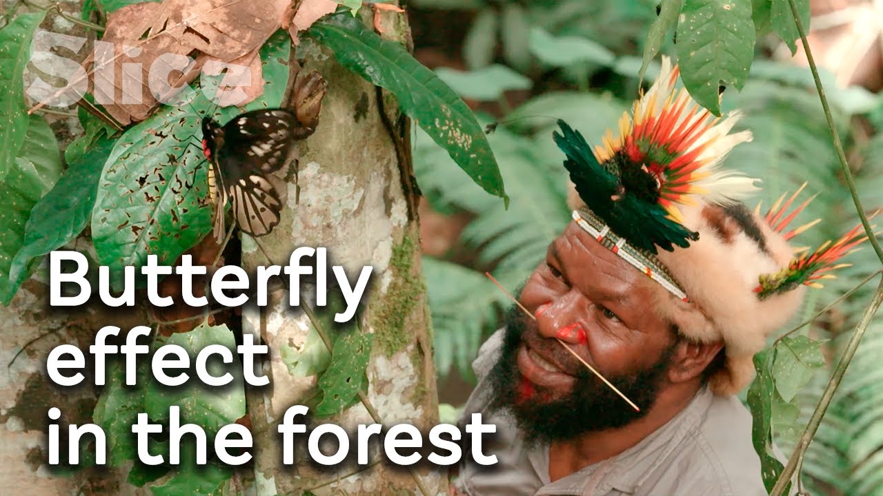 Papuan chief sharing the lessons from nature | SLICE - YouTube