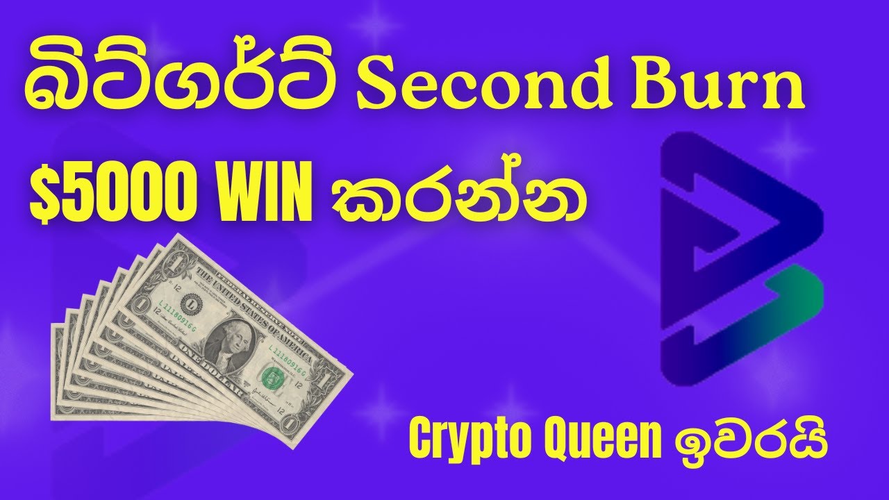 Get Ready for Bitgert's Second Burn | latest update - YouTube