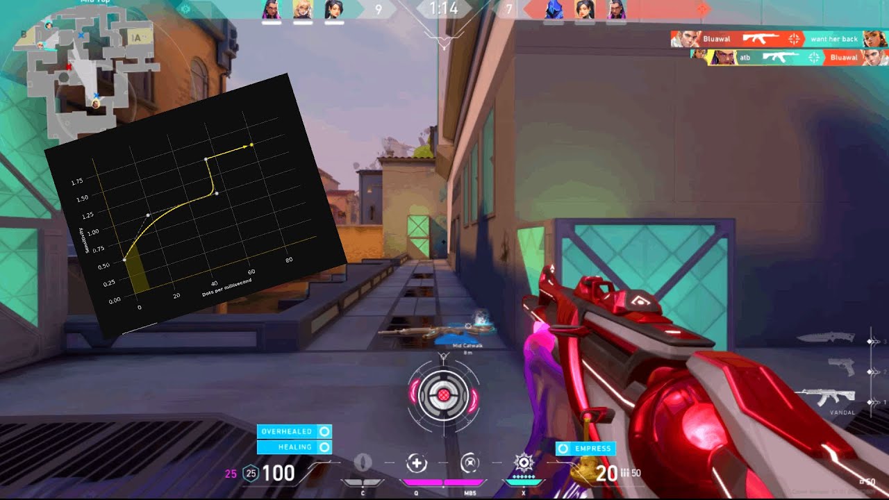 What PERFECT Custom Curve Aim Looks Like - YouTube