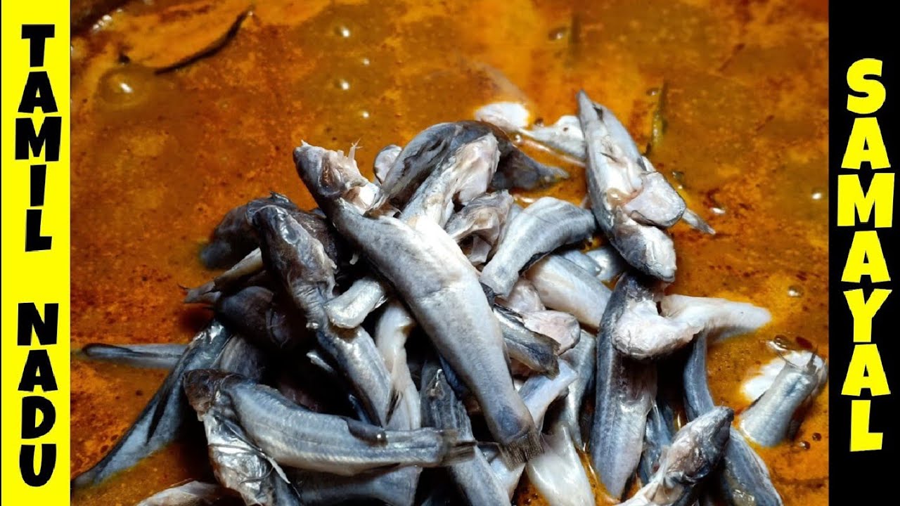 Keluthi Meen Kulambu | மண் சட்டி கெளுத்தி மீன் குழம்பு | Tamil Nadu ...