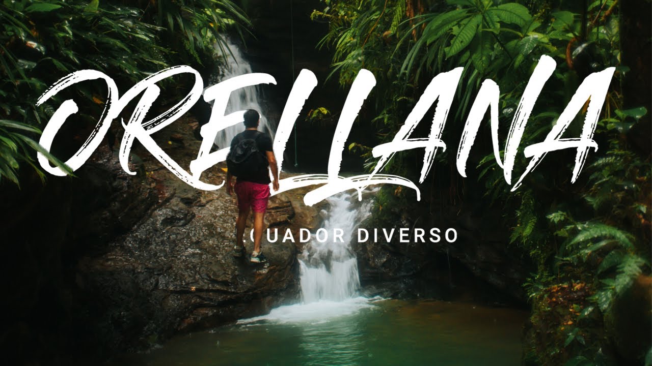 Lugares que TIENES que conocer en ORELLANA 🇪🇨 - YouTube