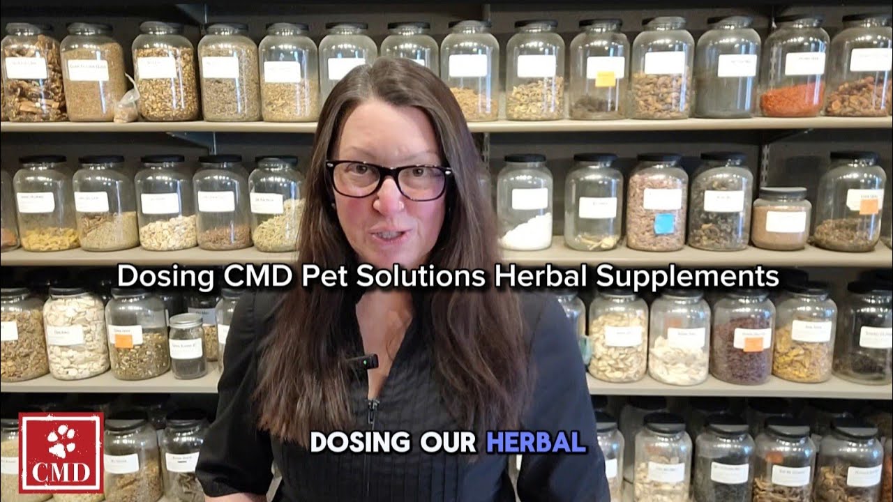 Therapeutic Dosing of CMD Pet Solutions Herbal Supplements FOR DOGS ...