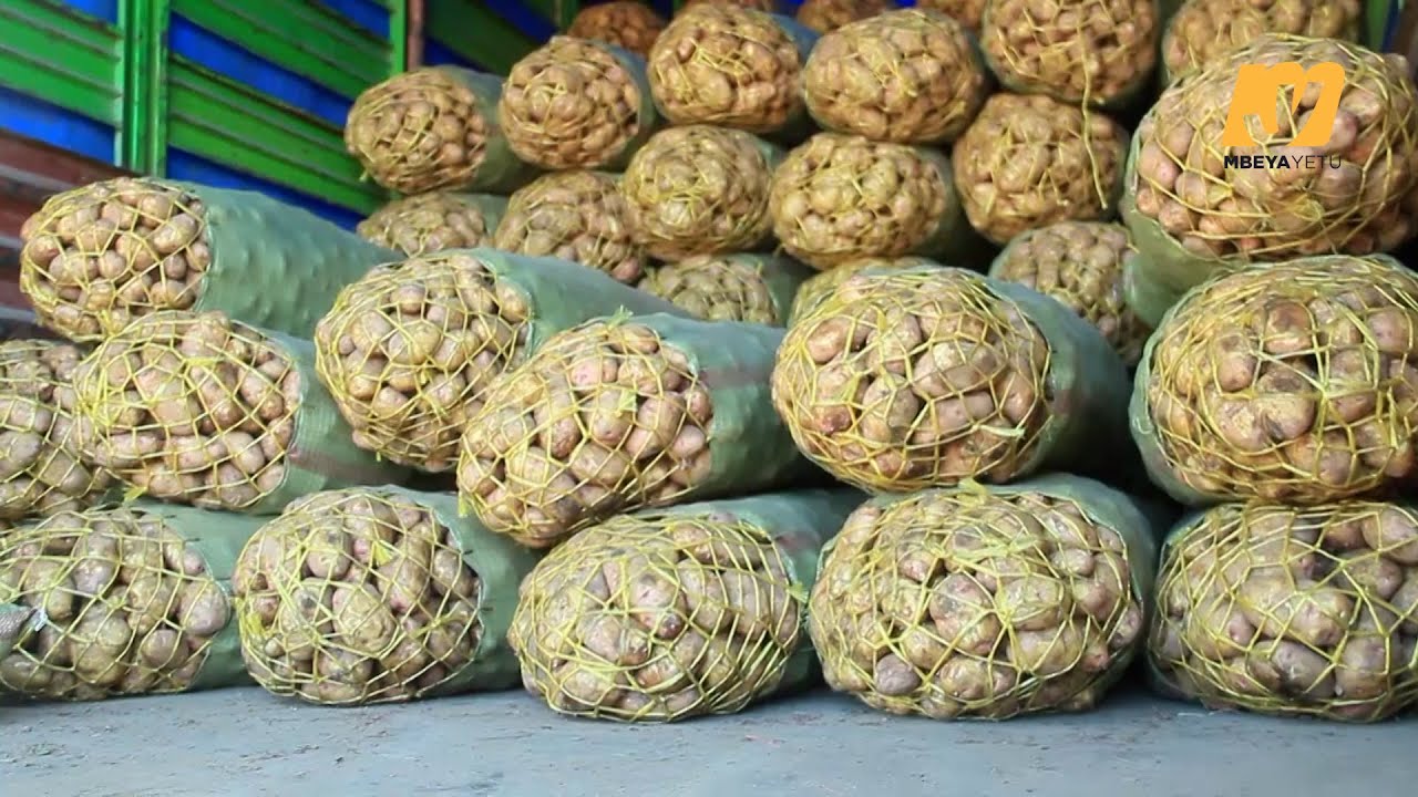 LUMBESA: ZAO LA VIAZI YAGEUZWA FURSA NA CHANZO CHA MAPATO - YouTube