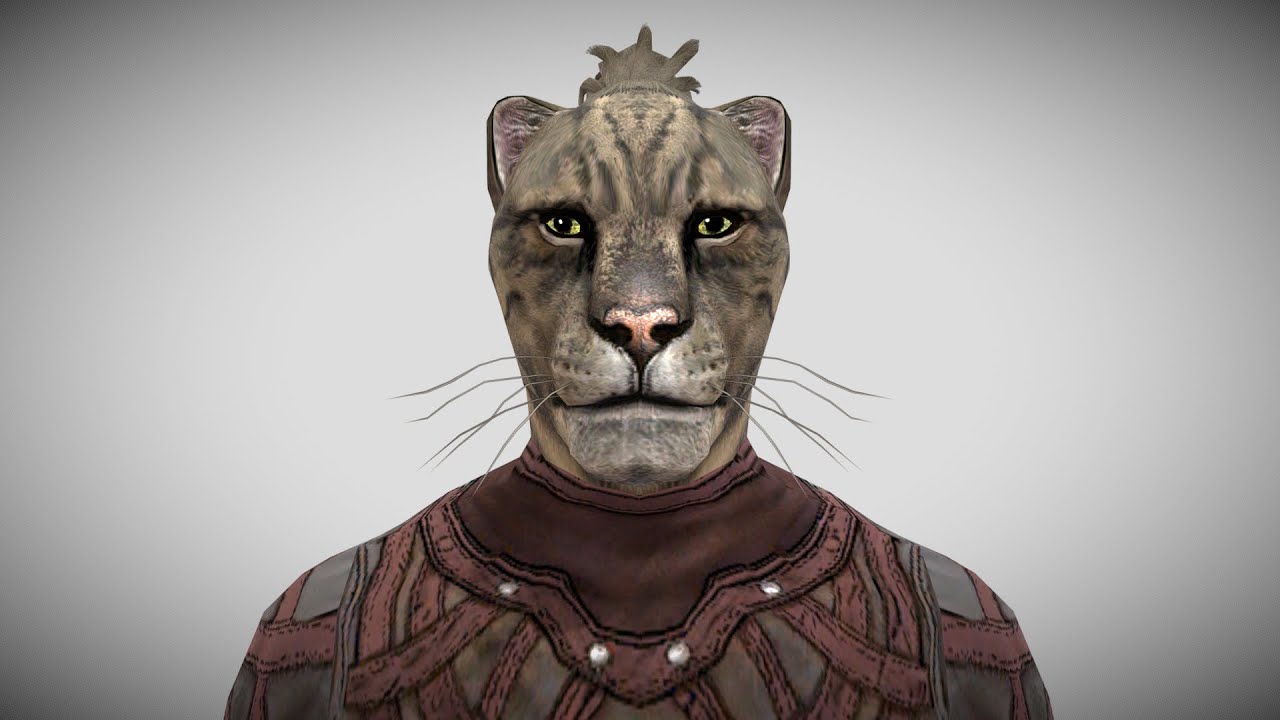 Zhasim ∣ ESO › Characters › Morkul Clan - YouTube