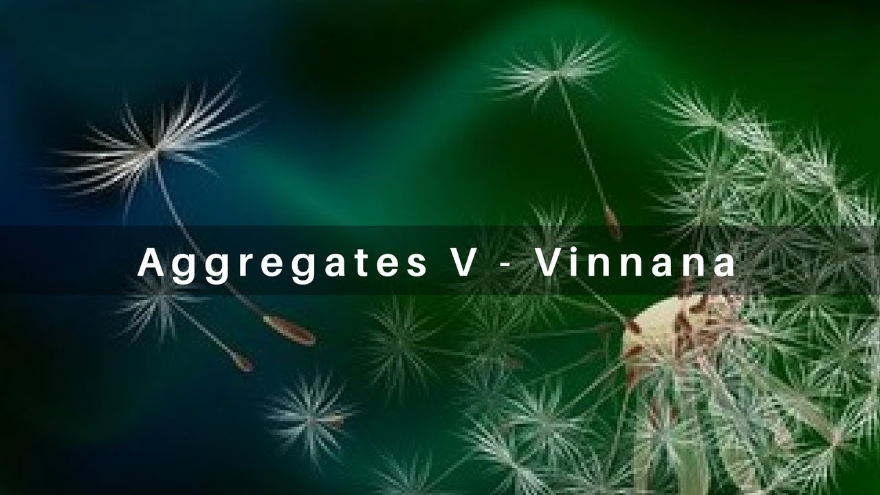 Aggregates V: Vinnana - Gregory Kramer - YouTube