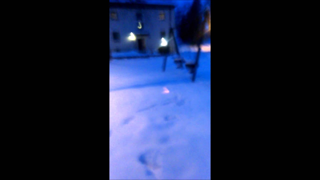 Tiger Raketer - YouTube