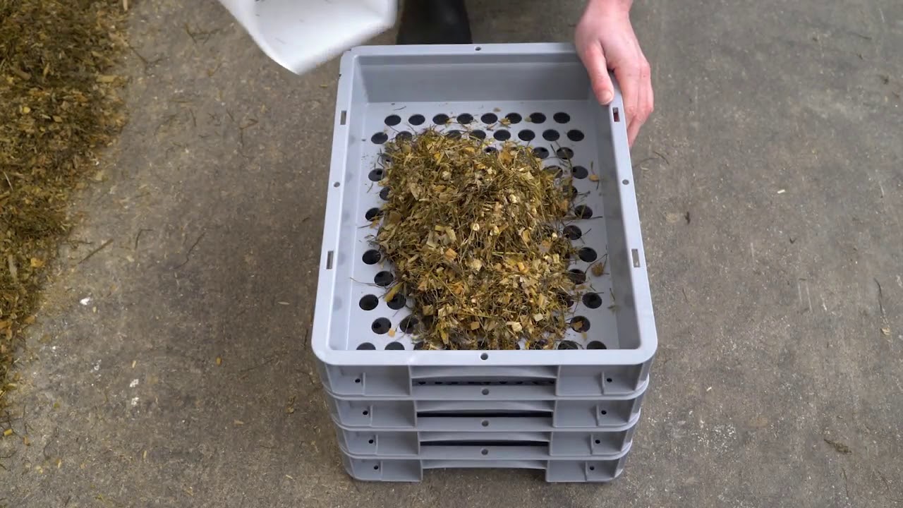 Determine the particles of the ration? | Shakerbox | Sweep Agro - YouTube