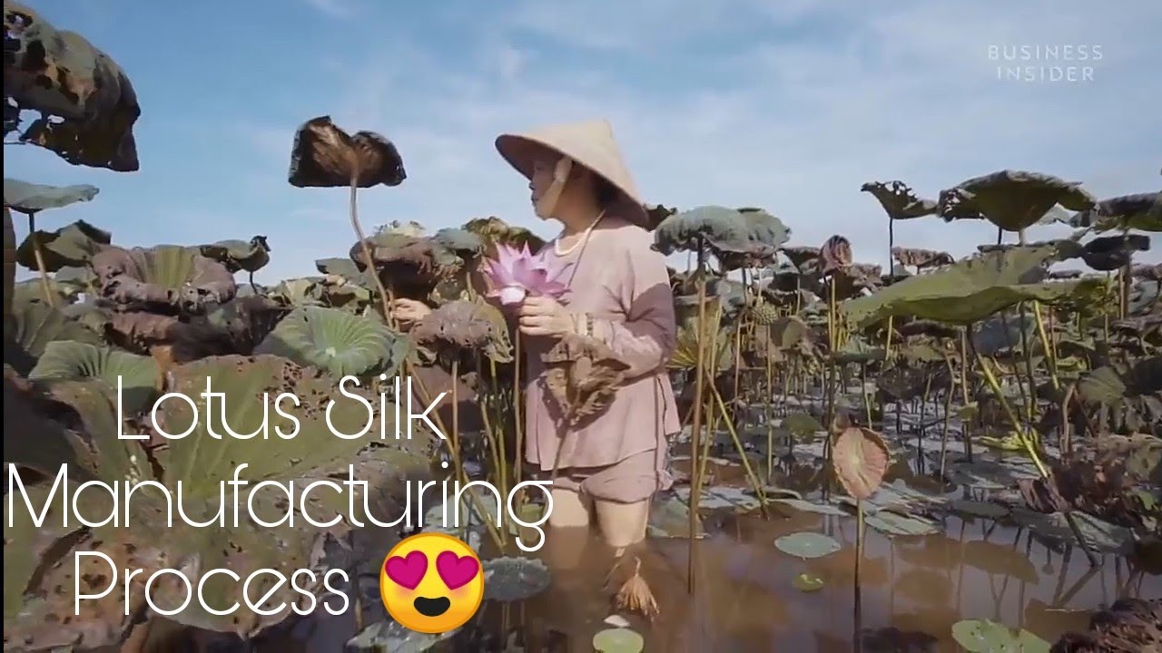 Lotus Silk Manufacturing 😍😍 | #silk #lotus #flowers #manufacturing ...