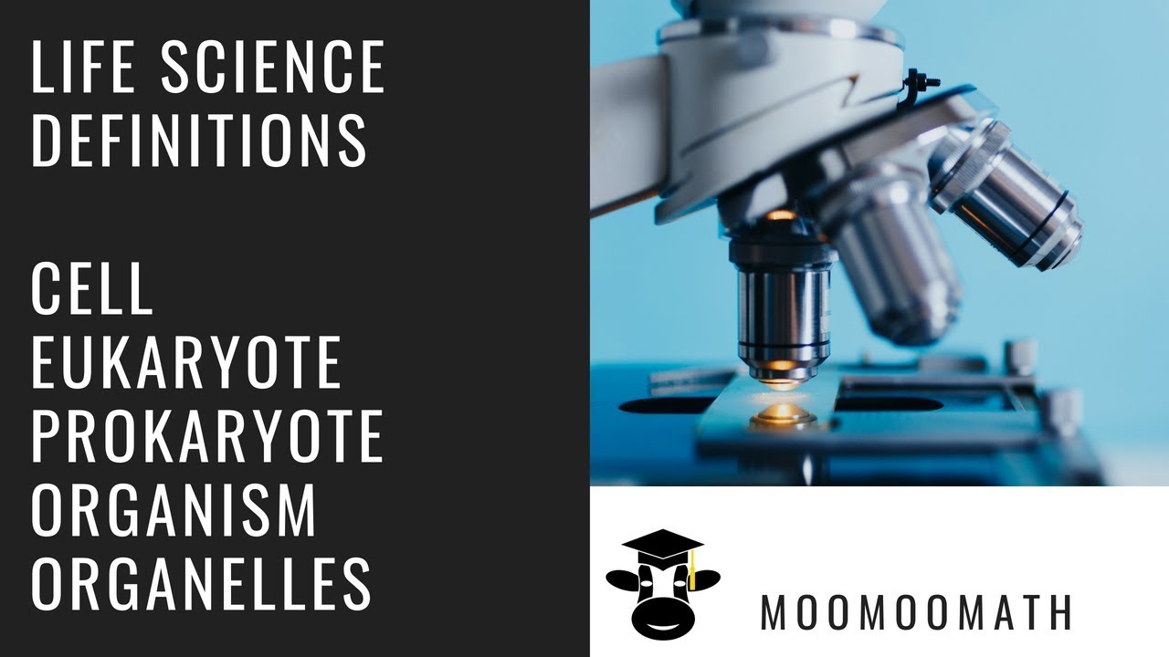 Life Science Vocabulary Week 1 - YouTube