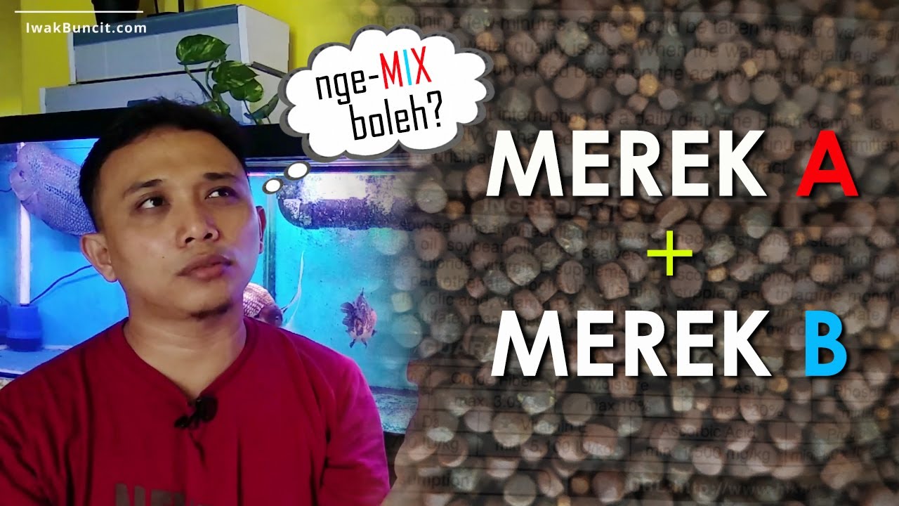Bolehkah Mencampur Pelet Ikan Mas Koki Beda Merek? Apa Dampaknya? Kalau Admin Iwak Buncit? - YouTube