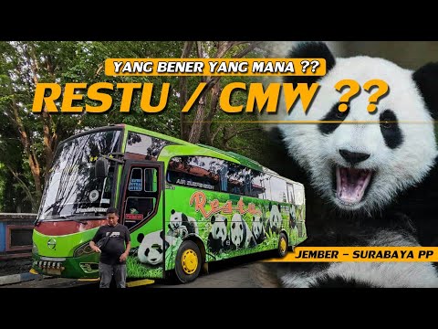 MASIH BINGUNG SAMA BIS INI !! INI IKUT RESTU / CWM YAHHH ?? - YouTube