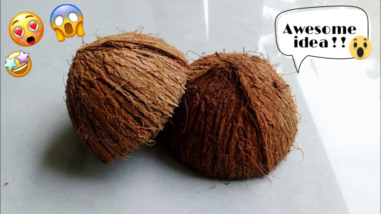 The Best Idea To Recycle Coconut Shells !! | Awesome Coconut Shell ...