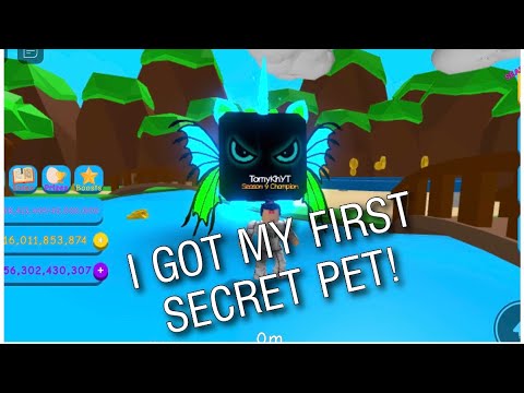 I GOT MY FIRST SECRET PET IN BGS!!!! - YouTube