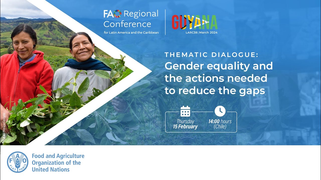 Thematic Dialogue: Gender equality and the actions needed to reduce the ...