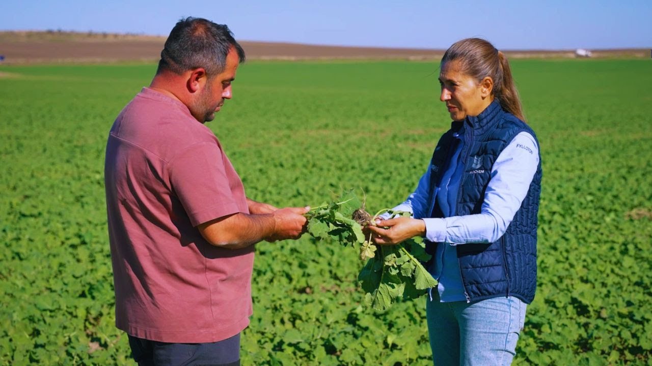 De ce folosește Bogdan Sandu, din județul Tulcea, biostimultorul Nova ...