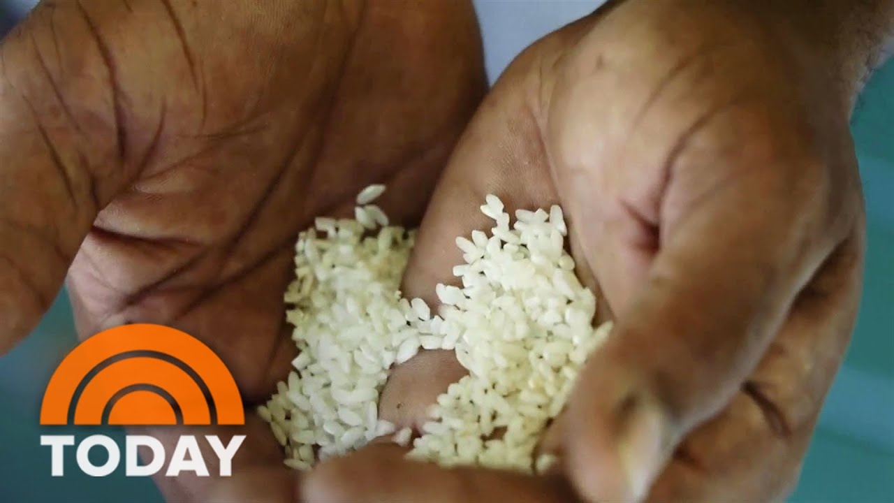 How South Carolina Rice Could Help You Live To 100 - YouTube