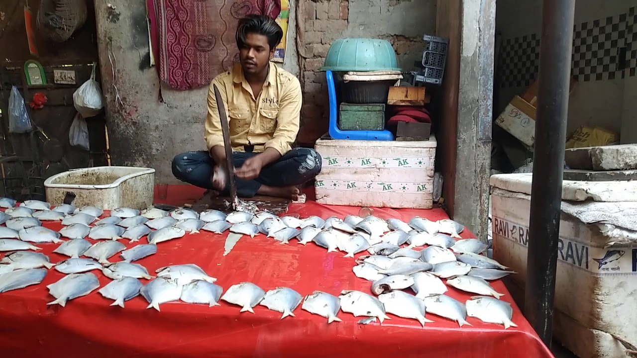 Haji Saleem fish center(2) - YouTube