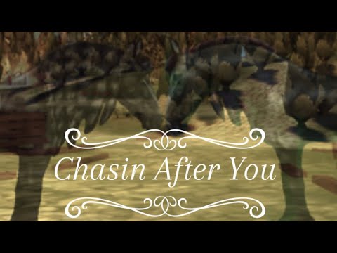Chasing After you - Music Video || #horseridingtales #musicvideo - YouTube