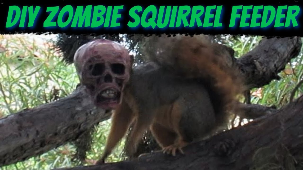 How To Make A Zombie Squirrel Feeder - DIY Halloween Decorations ...