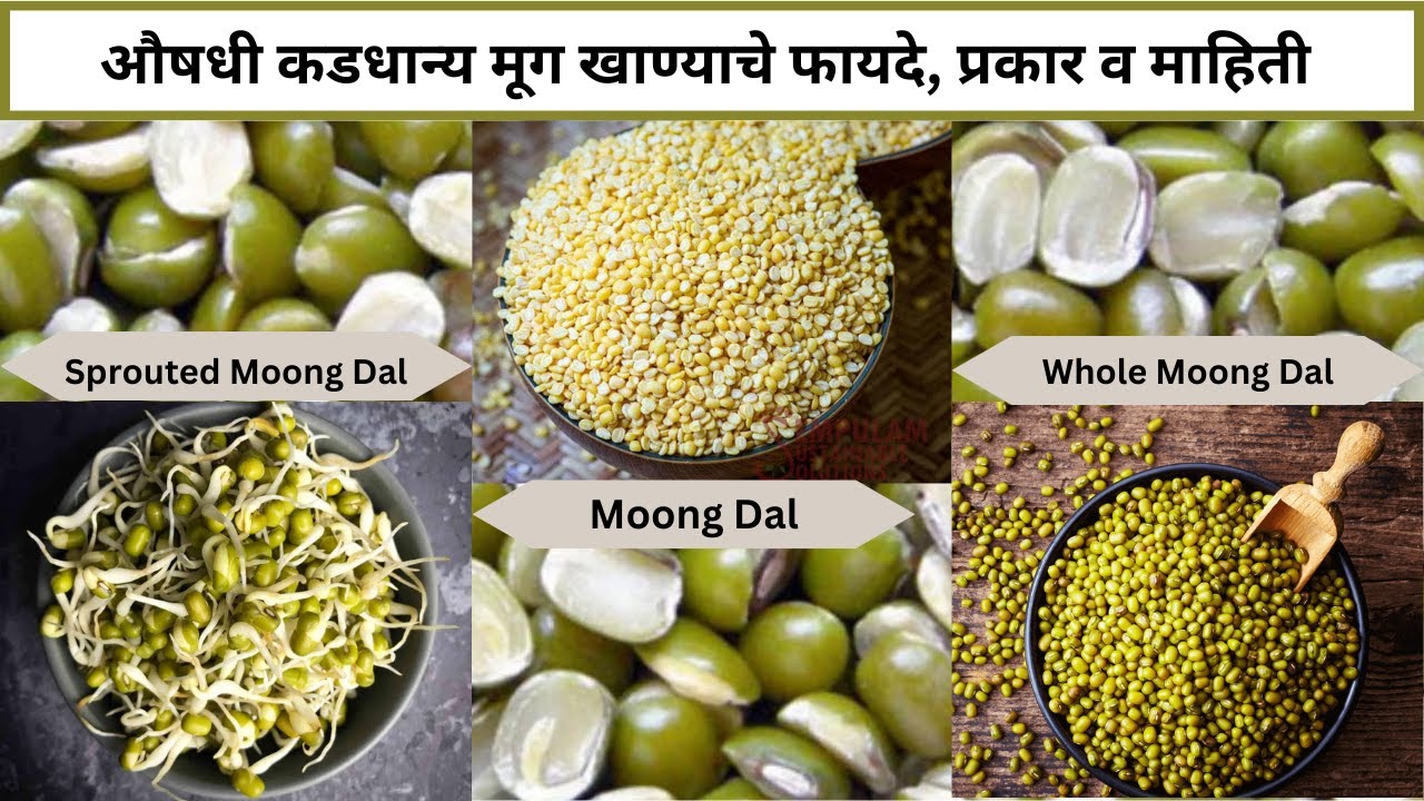 मूग हे औषधी कडधान्य खाण्याचे फायदे व माहिती/मूगा चे प्रकार/Green Gram ...