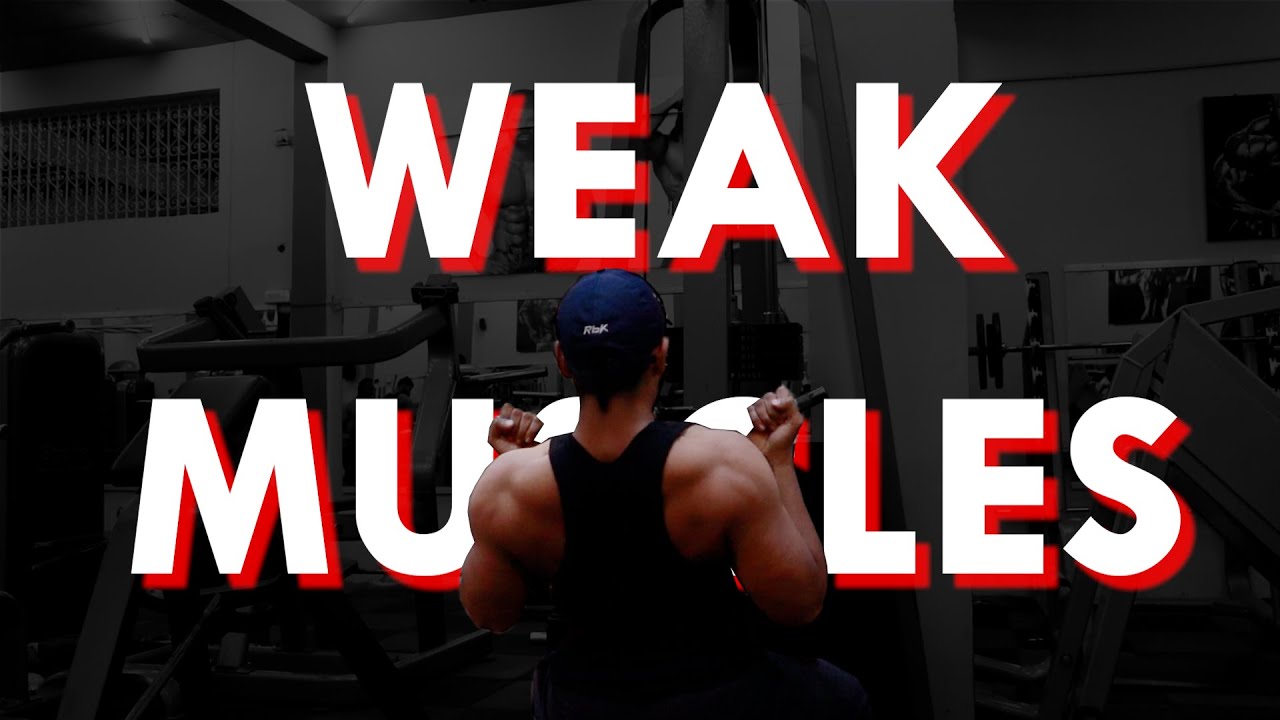 Training my weak muscles group ll Saturday Workout ll 6th Day of ...