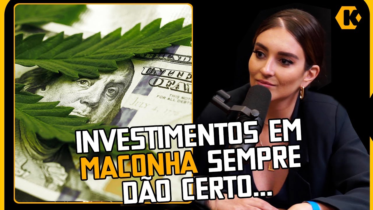 O CURIOSO INVESTIDOR MACONHEIRO - YouTube