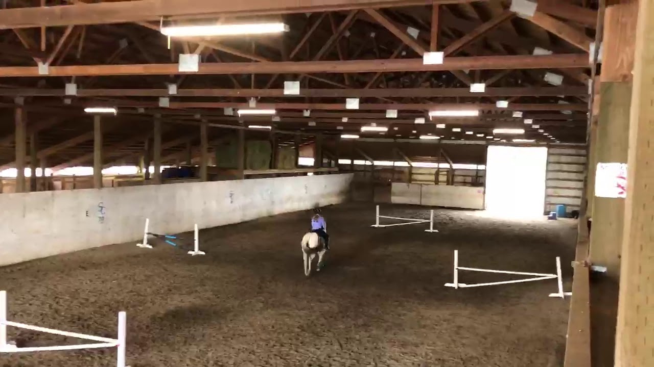 Cherry acres online horse show Class 33 Hunter over fences course A Ava ...