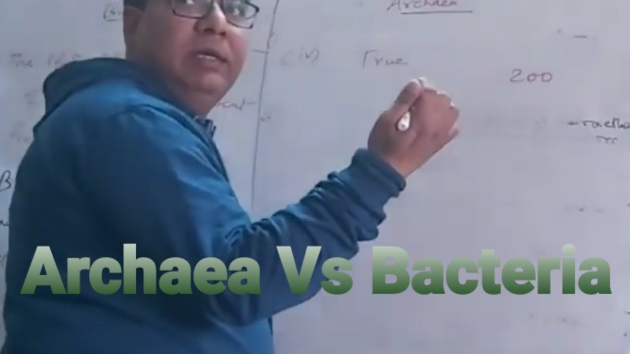 Archaea Vs Bacteria - YouTube