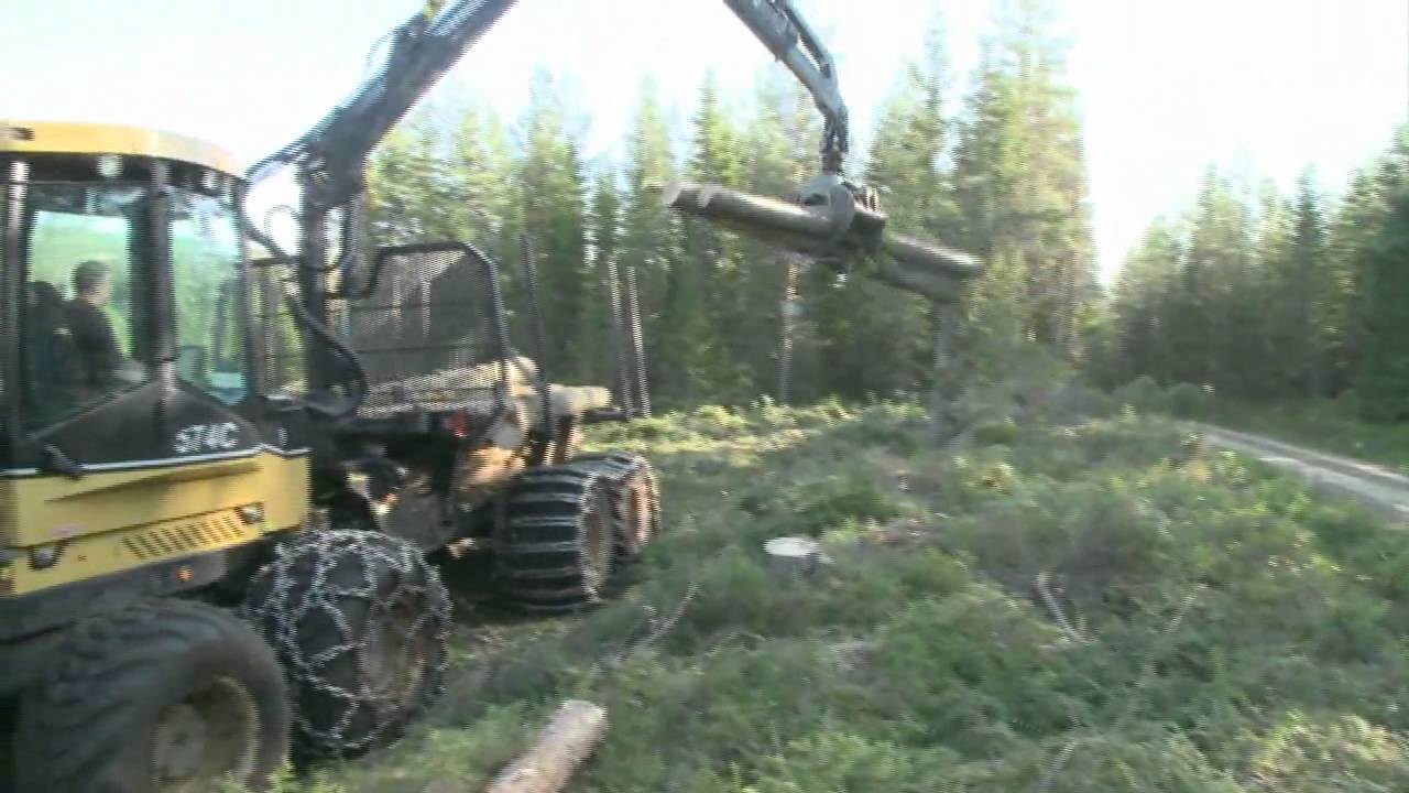 Eco Log 574C Forwarders Forestry Logging - YouTube