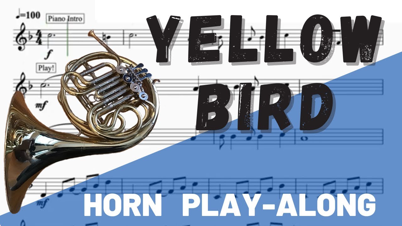 Yellow Bird Solo Horn in F. Play-Along/Backing Track. Free Music! - YouTube