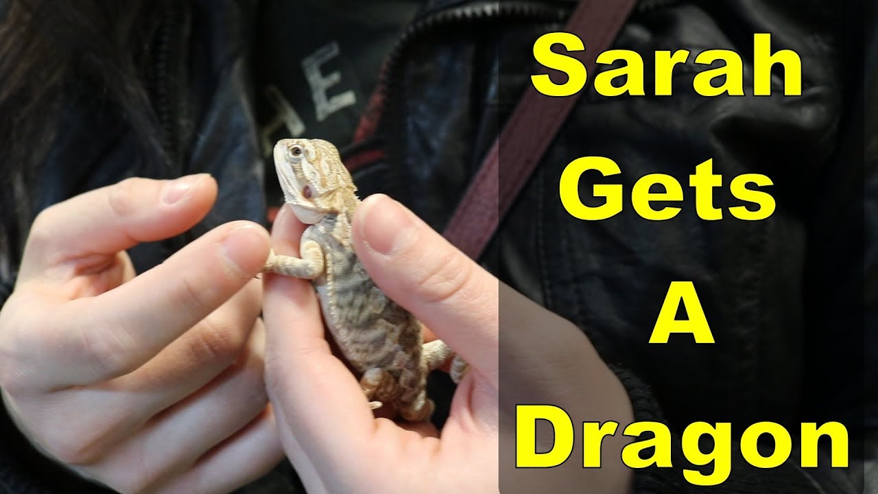 Sarah Gets A Dragon - YouTube